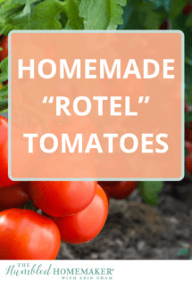 Homemade "Rotel" Tomatoes