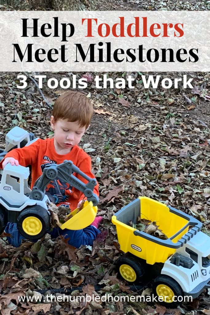 Help Toddlers Meet Milestones: 3 Tools That Work